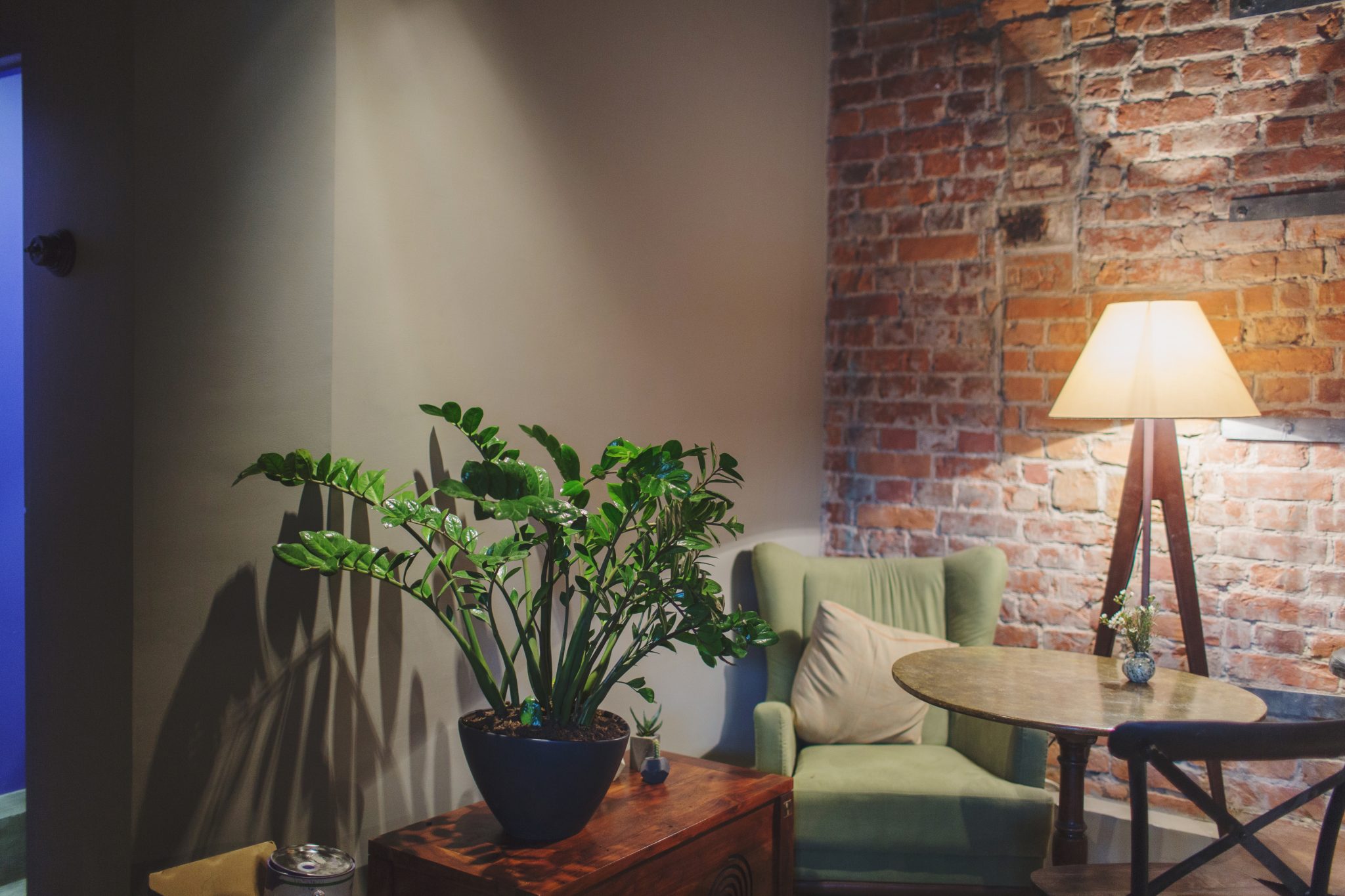 Luz quente e Luz fria: conheça 5 diferenças entre elas! • Finger Móveis ...