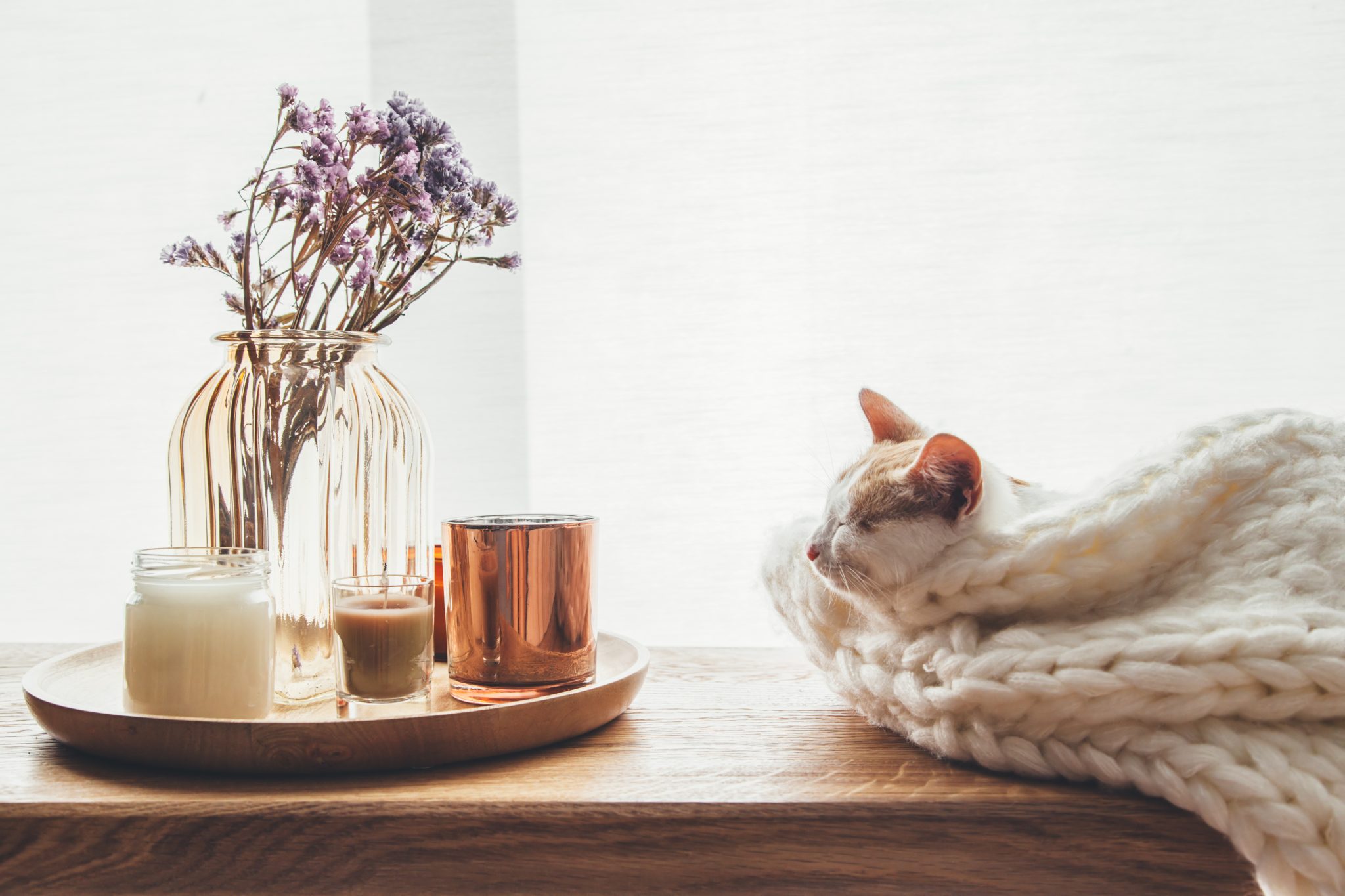 5 ideias criativas para decorar mesa de centro da sala